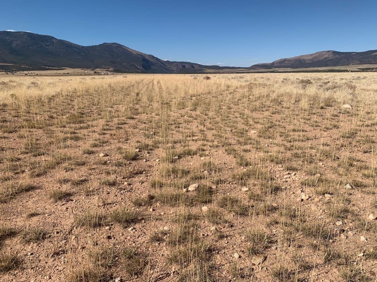 Utah backcountry airstrip gets green light to reopen — General Aviation ...